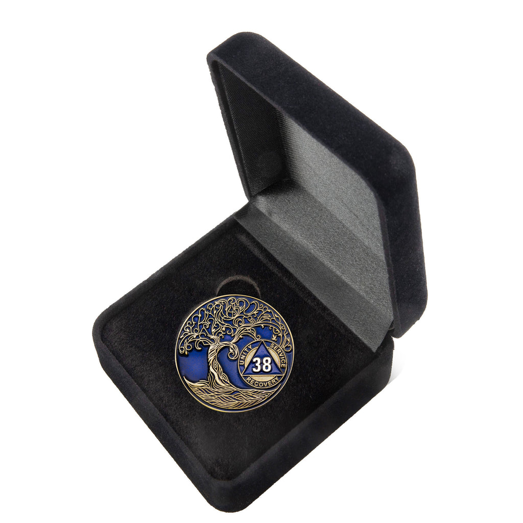 38 Year AA Medallions - Thirty-Eight Year Alcoholics Anonymous Coins ...
