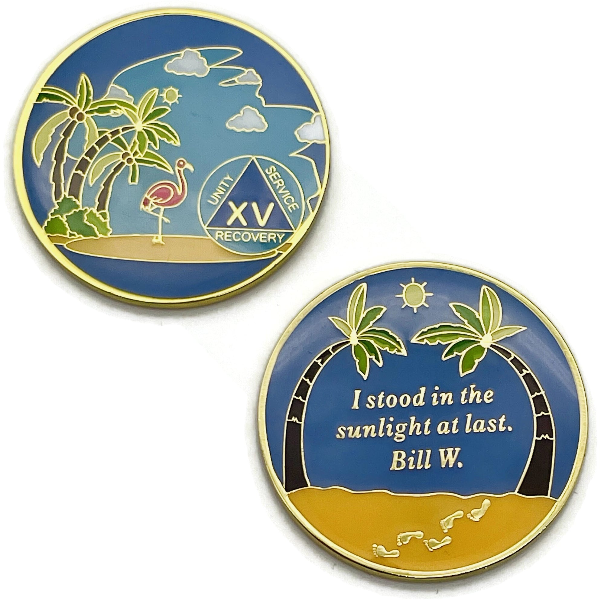 15 Year Beach Themed Specialty AA Recovery Medallion/Chip/Coin — AA ...
