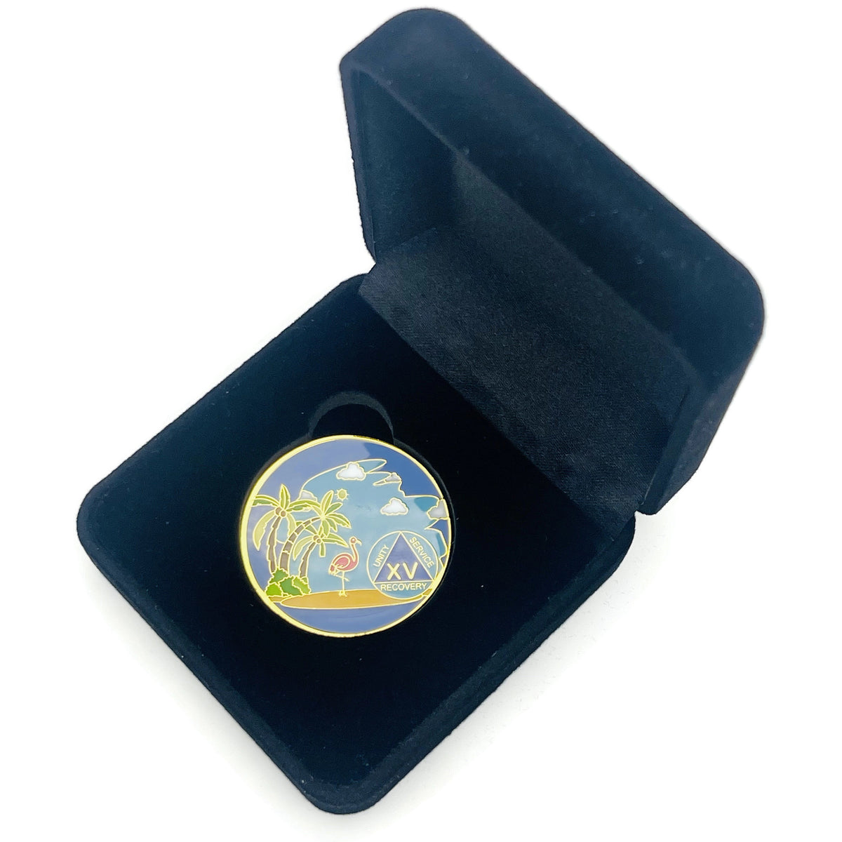 15 Year Beach Themed Specialty AA Recovery Medallion/Chip/Coin + Case ...