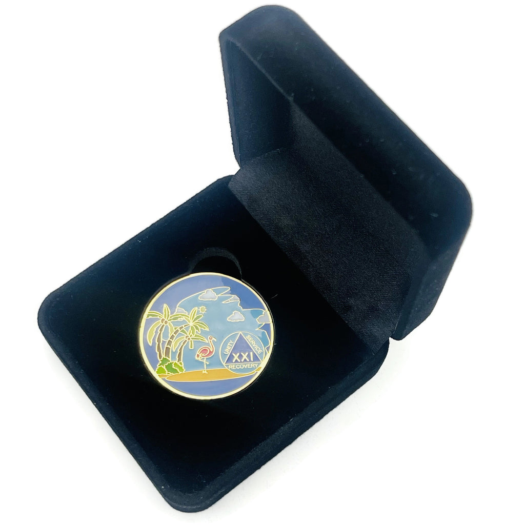 21 Year AA Medallions - Twenty-One Year Alcoholics Anonymous Coins and ...