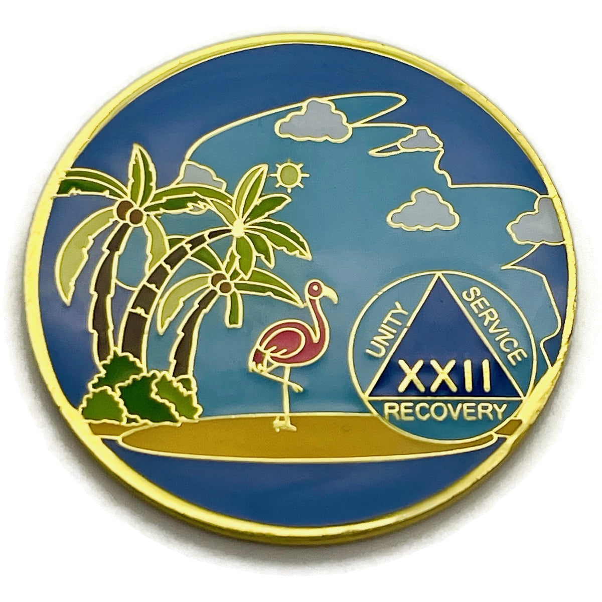 22 Year Beach Themed Specialty AA Recovery Medallion/Chip/Coin — AA ...