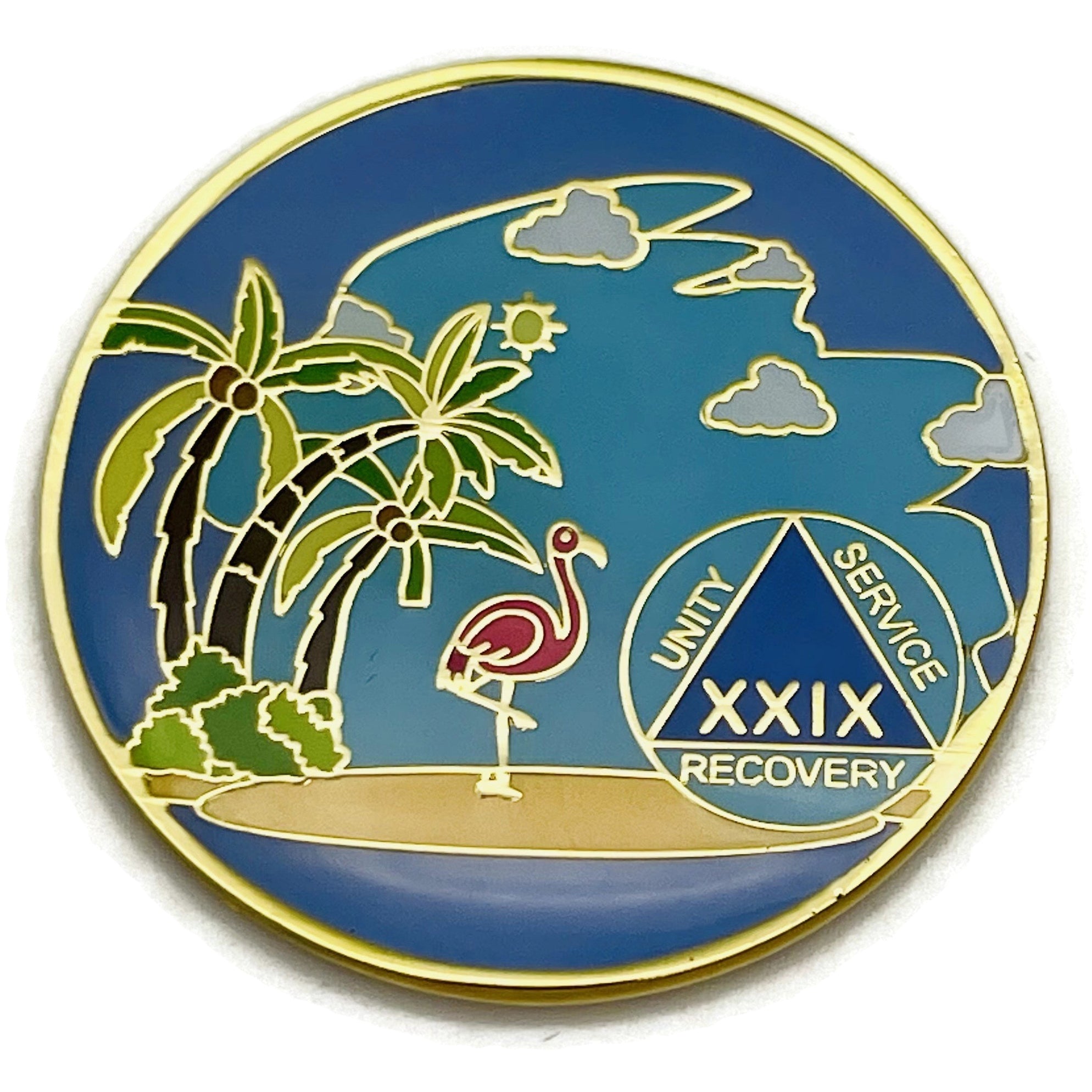29 Year Beach Themed Specialty AA Recovery Medallion/Chip/Coin — AA ...