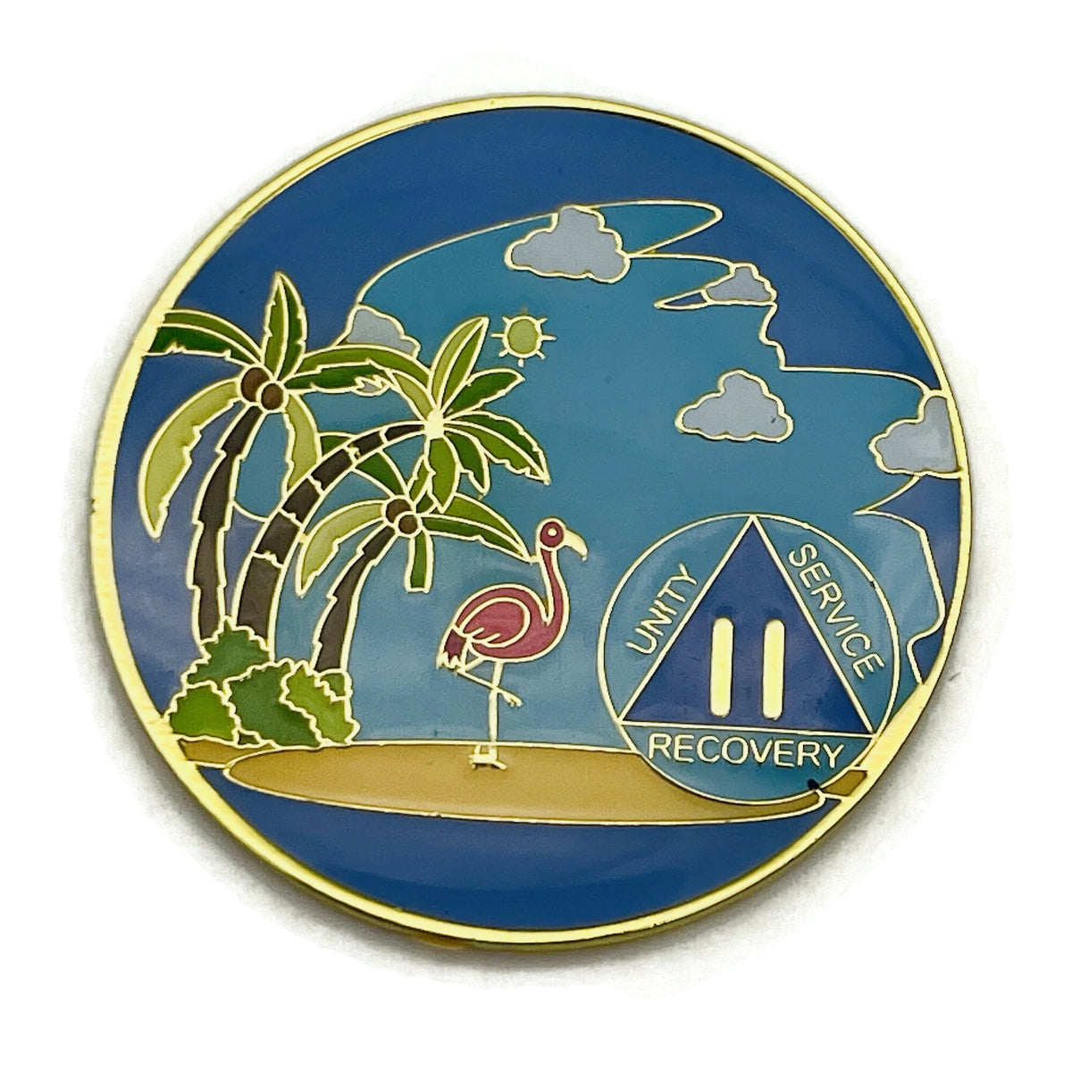 2 Year Beach Themed Specialty AA Recovery Medallion/Chip/Coin — AA ...