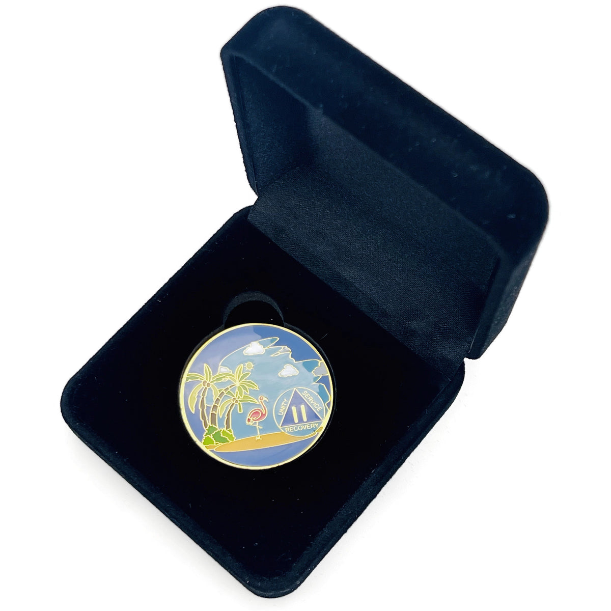 2 Year Beach Themed Specialty AA Recovery Medallion/Chip/Coin + Case ...