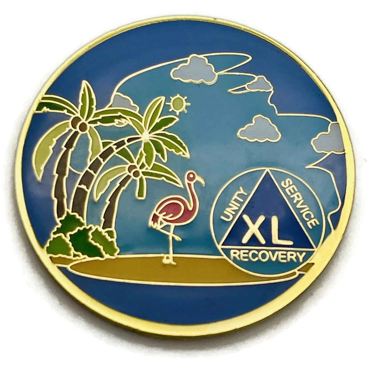 40 Year Beach Themed Specialty AA Recovery Medallion/Chip/Coin — AA ...