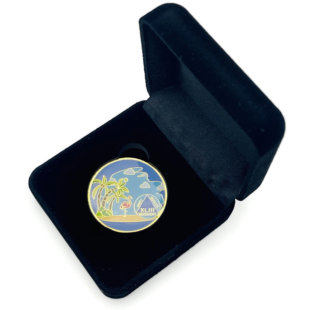 43 Year Beach Themed Specialty AA Recovery Medallion/Chip/Coin + Case ...