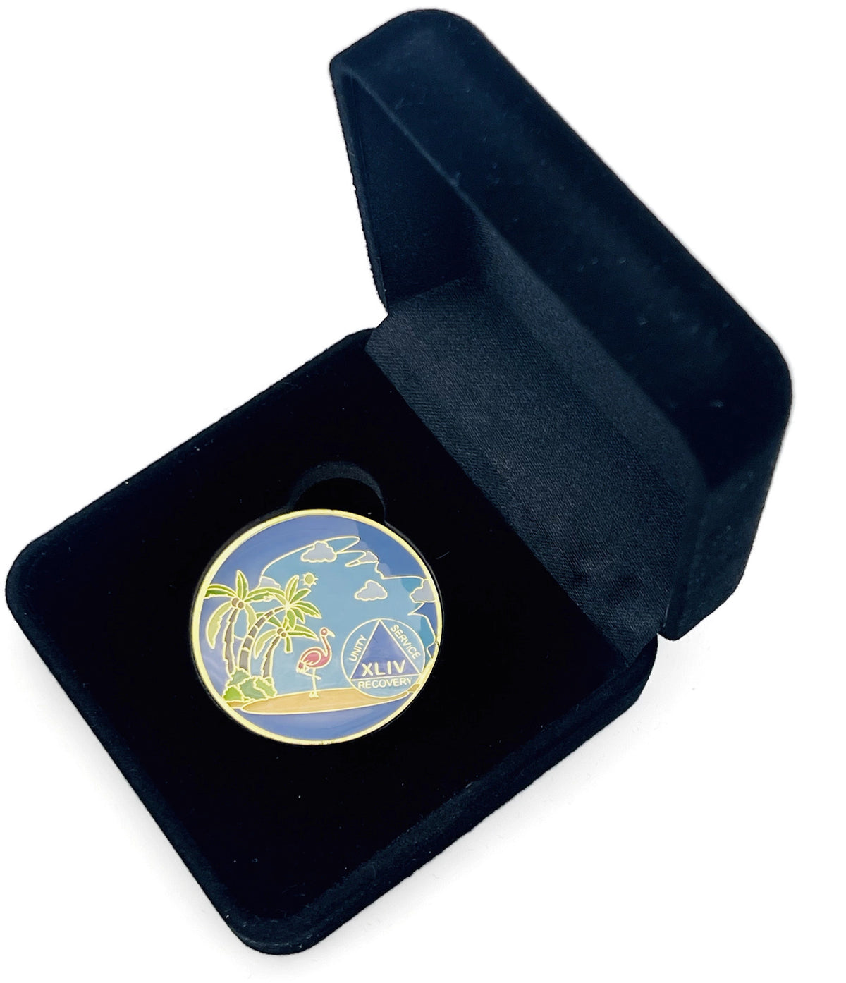 44 Year Beach Themed Specialty AA Recovery Medallion/Chip/Coin + Case ...
