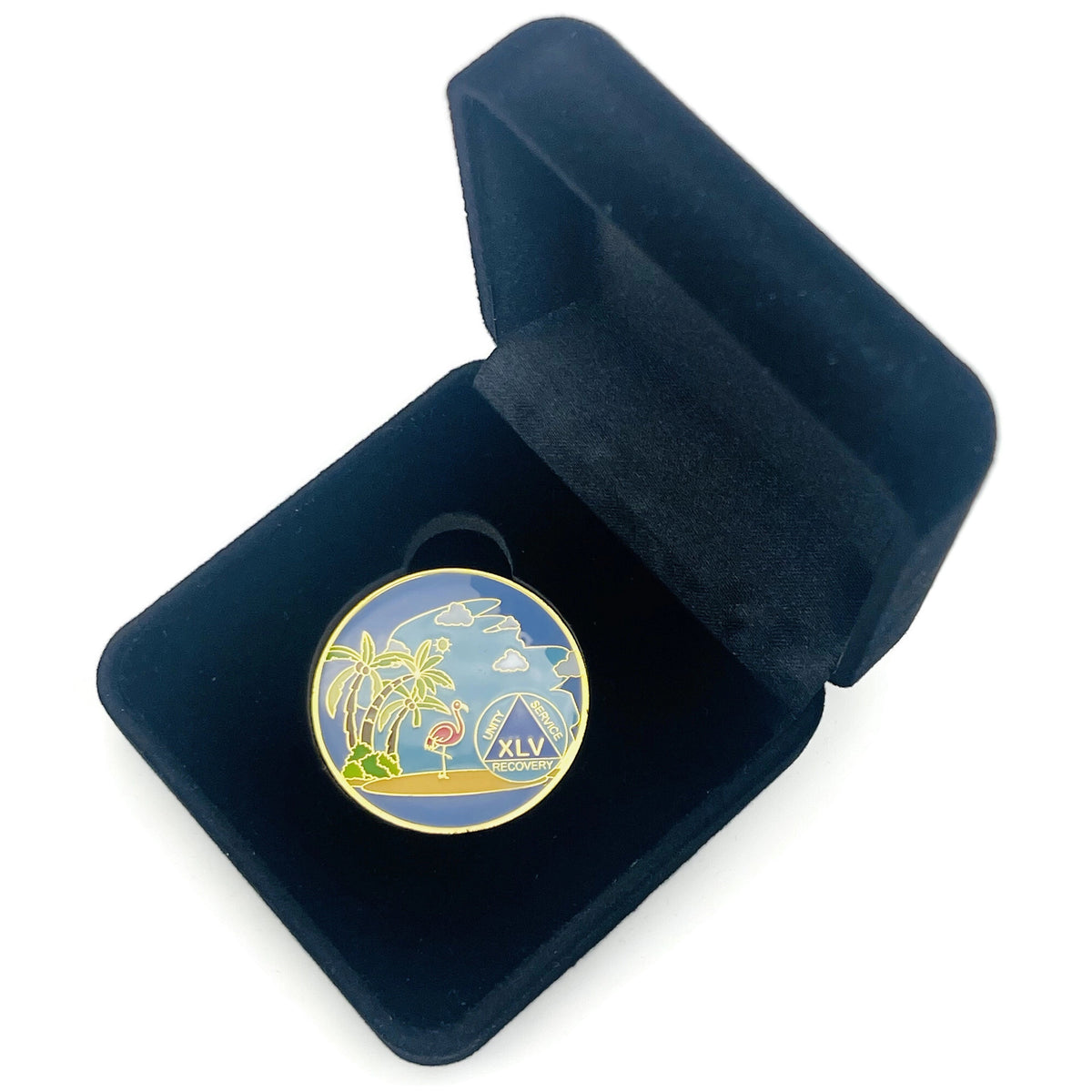 45 Year Beach Themed Specialty AA Recovery Medallion/Chip/Coin + Case ...