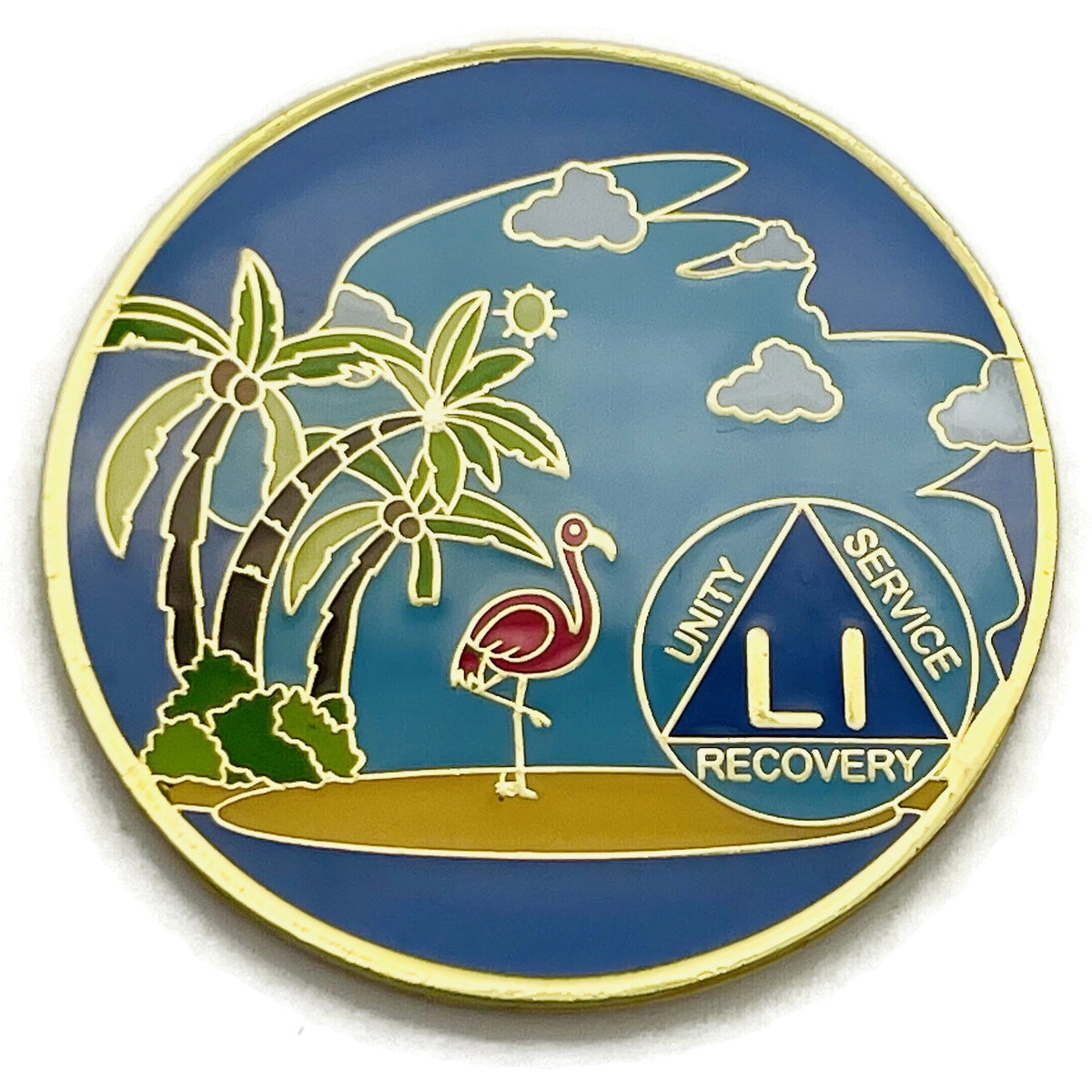 51 Year Beach Themed Specialty AA Recovery Medallion/Chip/Coin — AA ...