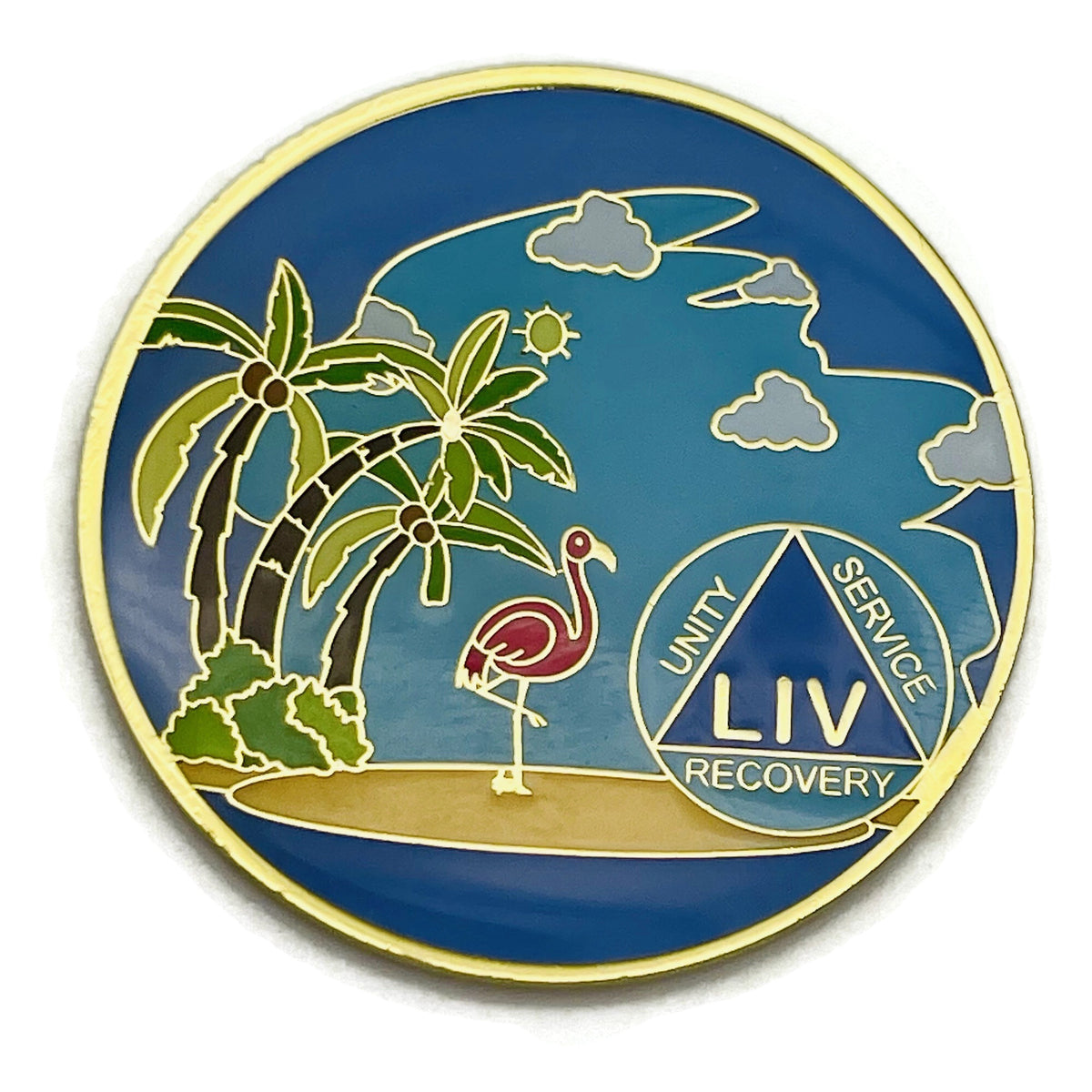 54 Year Beach Themed Specialty AA Recovery Medallion/Chip/Coin — AA ...
