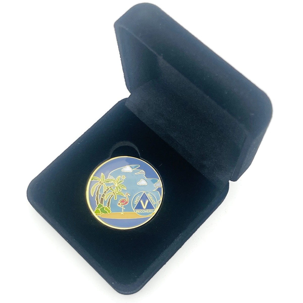 5 Year Beach Themed Specialty AA Recovery Medallion/Chip/Coin + Case ...