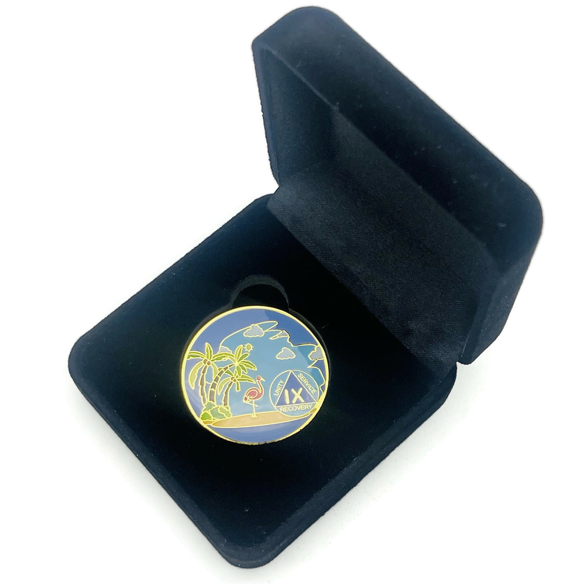 9 Year Beach Themed Specialty AA Recovery Medallion/Chip/Coin + Case ...