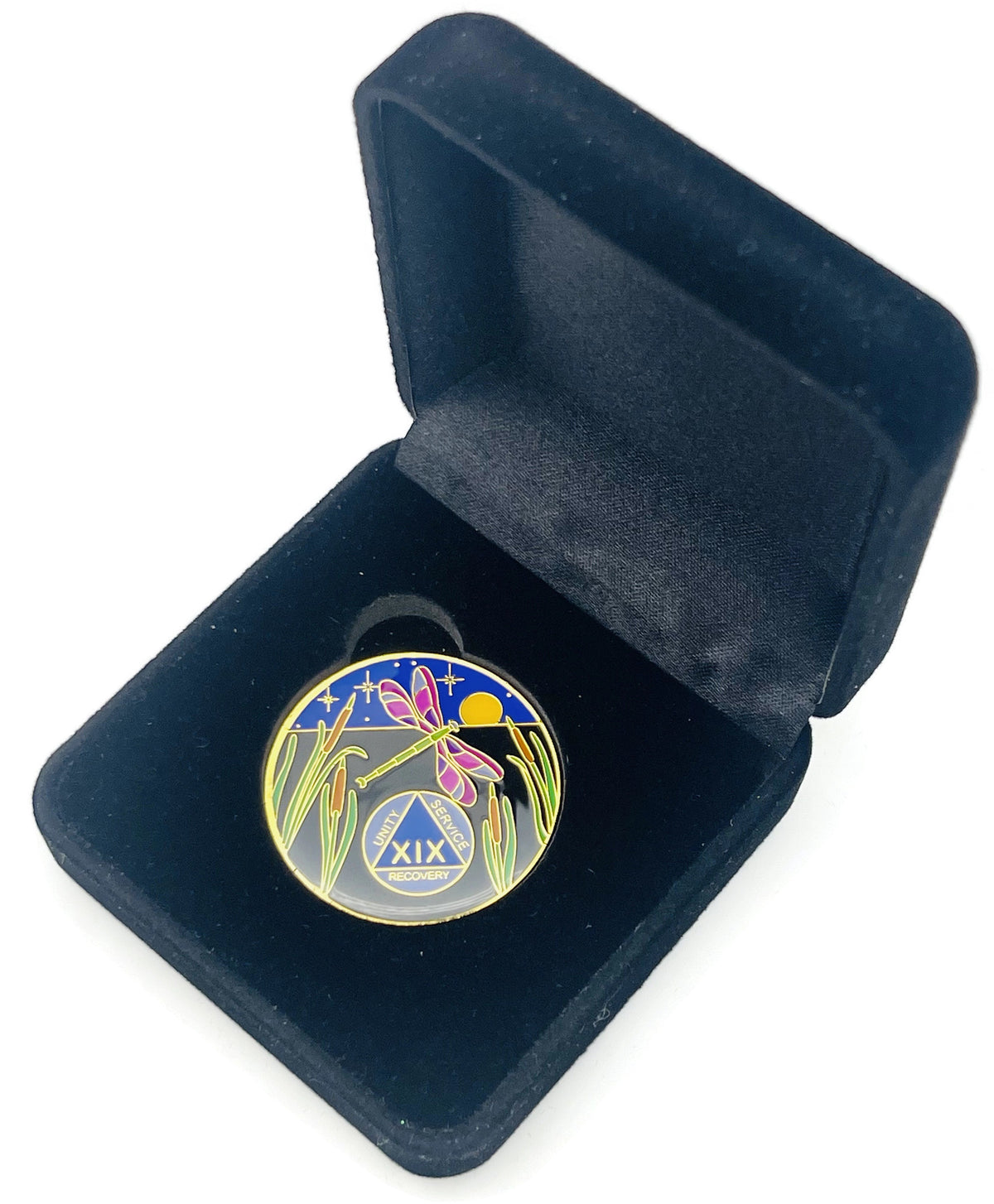 Dragonfly 9th Step 19 Year Specialty AA Recovery Coin + Velvet Case ...