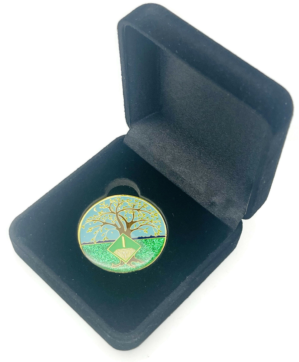 1 Year Tree of Life Specialty NA Recovery Medallion/Chip/Coin + Case ...