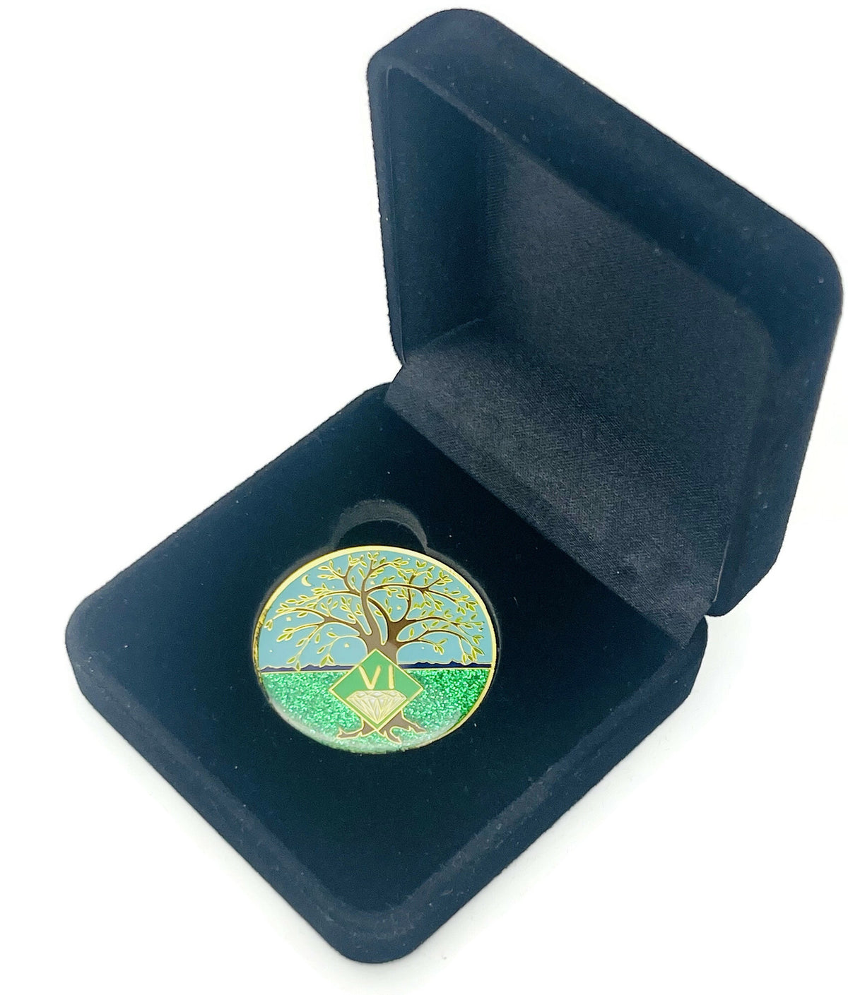 6 Year Tree of Life Specialty NA Recovery Medallion/Chip/Coin + Case ...
