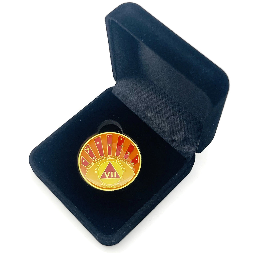 7 Year AA Medallions - Seven Year Alcoholics Anonymous Coins and Chips ...