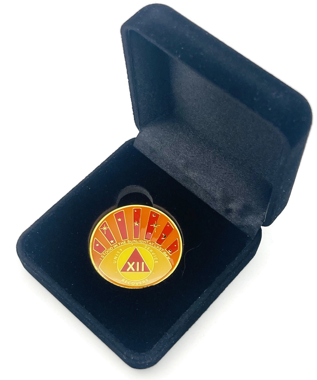 12 Year AA Medallions - Twelve Year Alcoholics Anonymous Coins and ...