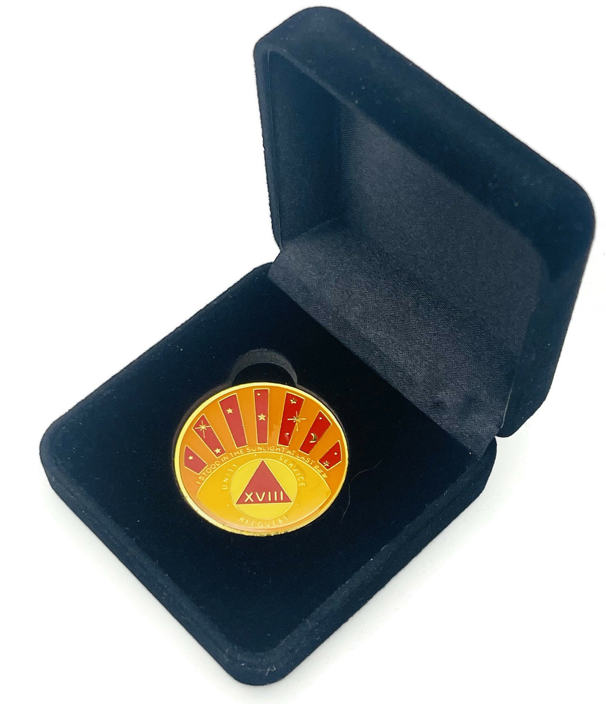 Stood in the Sunlight 18 Year Specialty AA Recovery Coin + Velvet Case ...