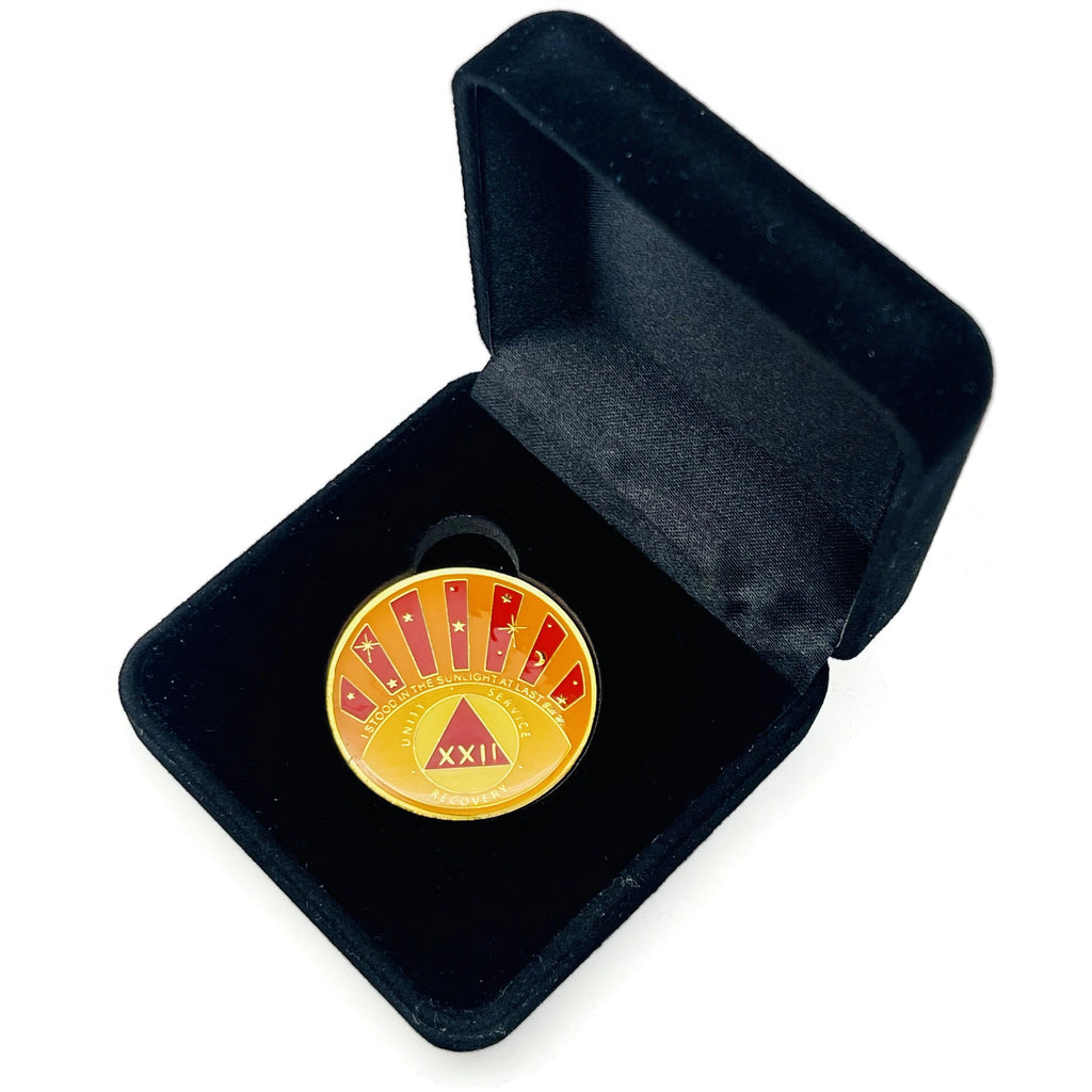 22 Year AA Medallions - Twenty-Two Year Alcoholics Anonymous Coins and ...