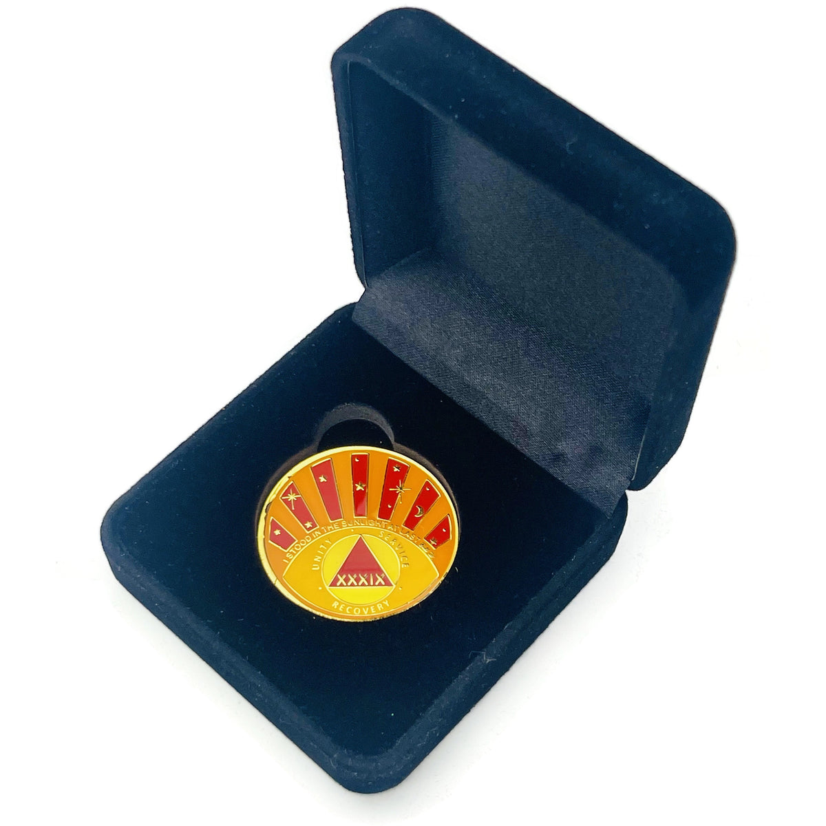 Stood in the Sunlight 39 Year Specialty AA Recovery Coin + Velvet Case ...