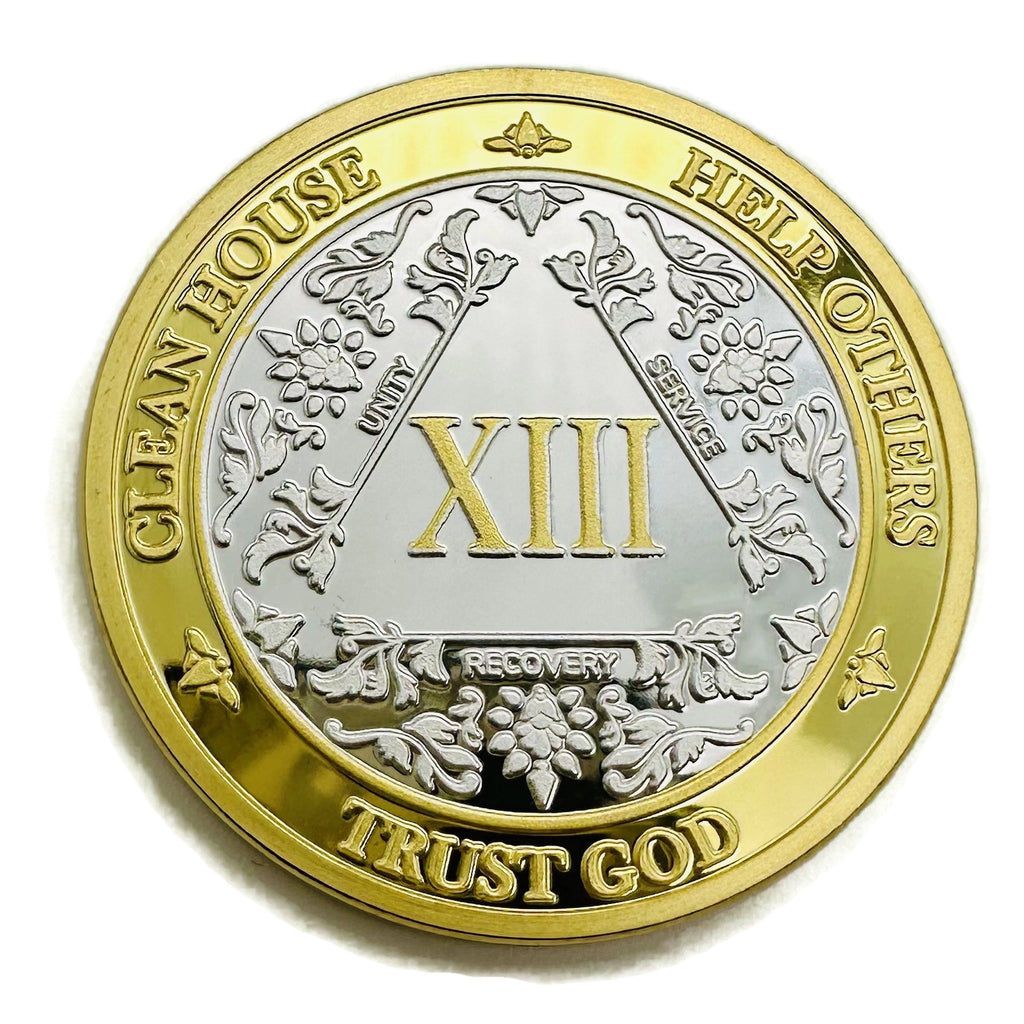 13 Year AA Medallions - Thirteen Year Alcoholics Anonymous Coins and ...
