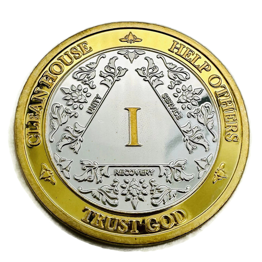 1 Year AA Medallions - One Year Alcoholics Anonymous Coins and Chips ...