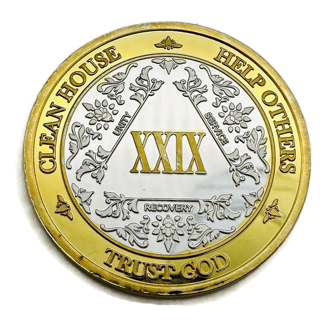 29 Year AA Medallions - Twenty-Nine Year Alcoholics Anonymous Coins and ...
