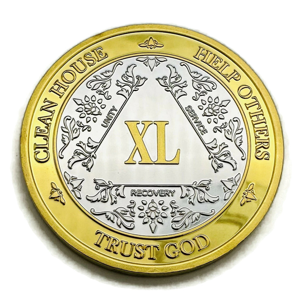 40 Year AA Medallions - Forty Year Alcoholics Anonymous Coins and Chips ...