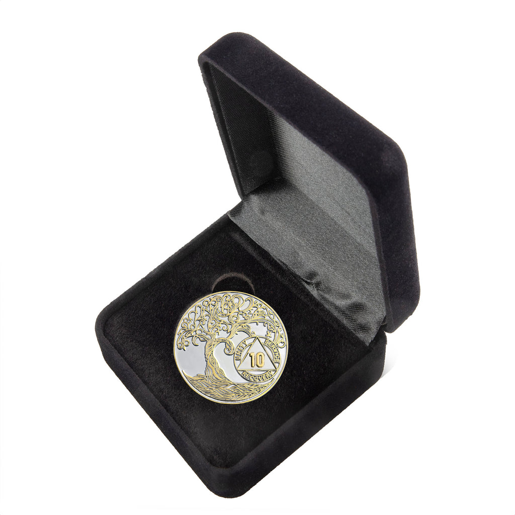 10 Year AA Medallions - Ten Year Alcoholics Anonymous Coins and Chips ...