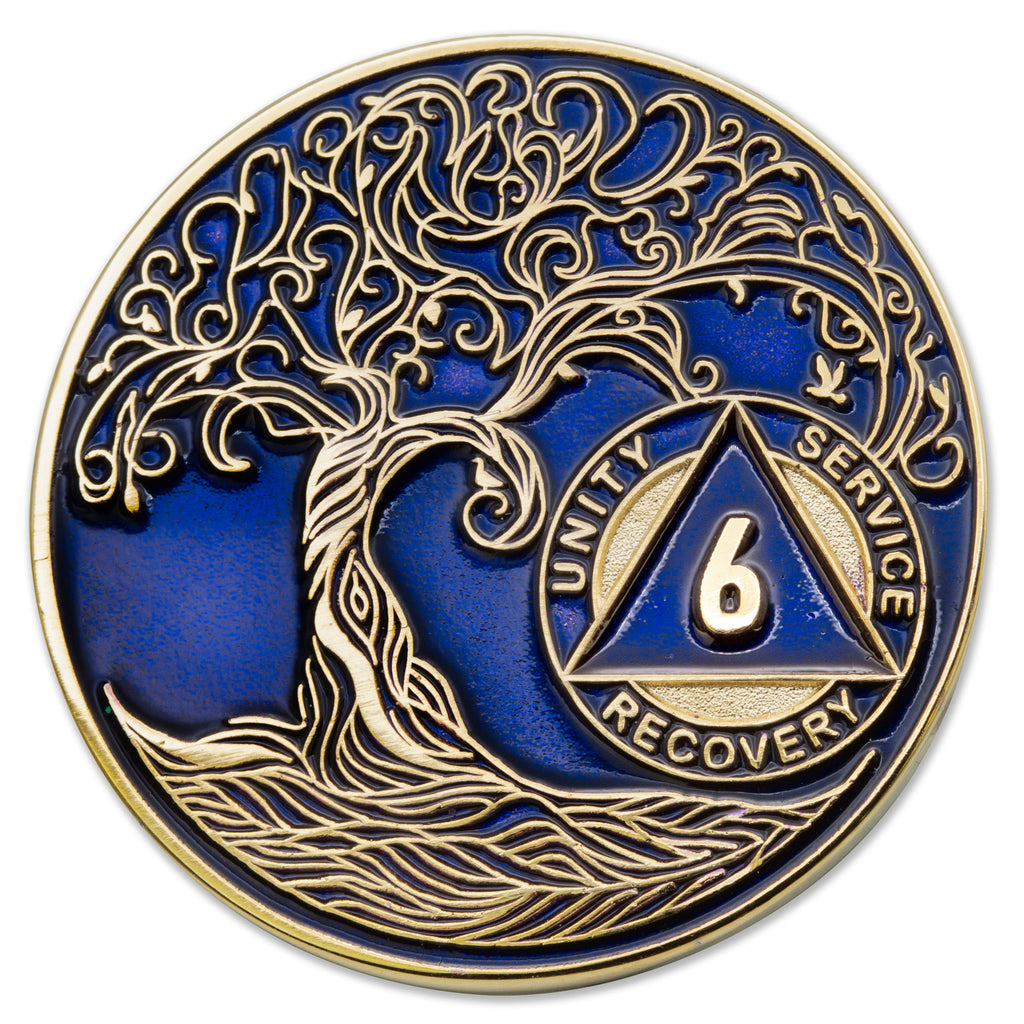 6 Year AA Medallions - Six Year Alcoholics Anonymous Coins and Chips ...