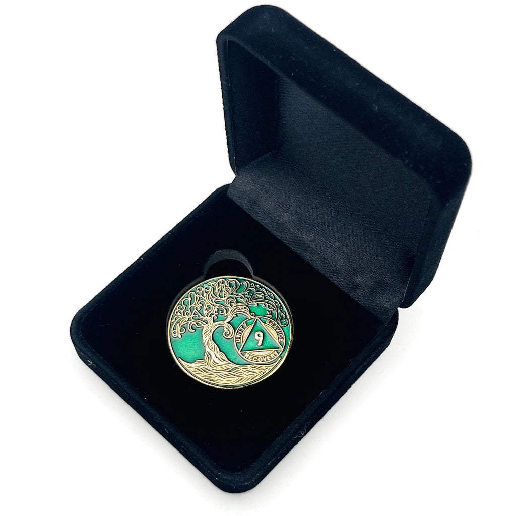 9 Year AA Medallions - Nine Year Alcoholics Anonymous Coins and Chips ...