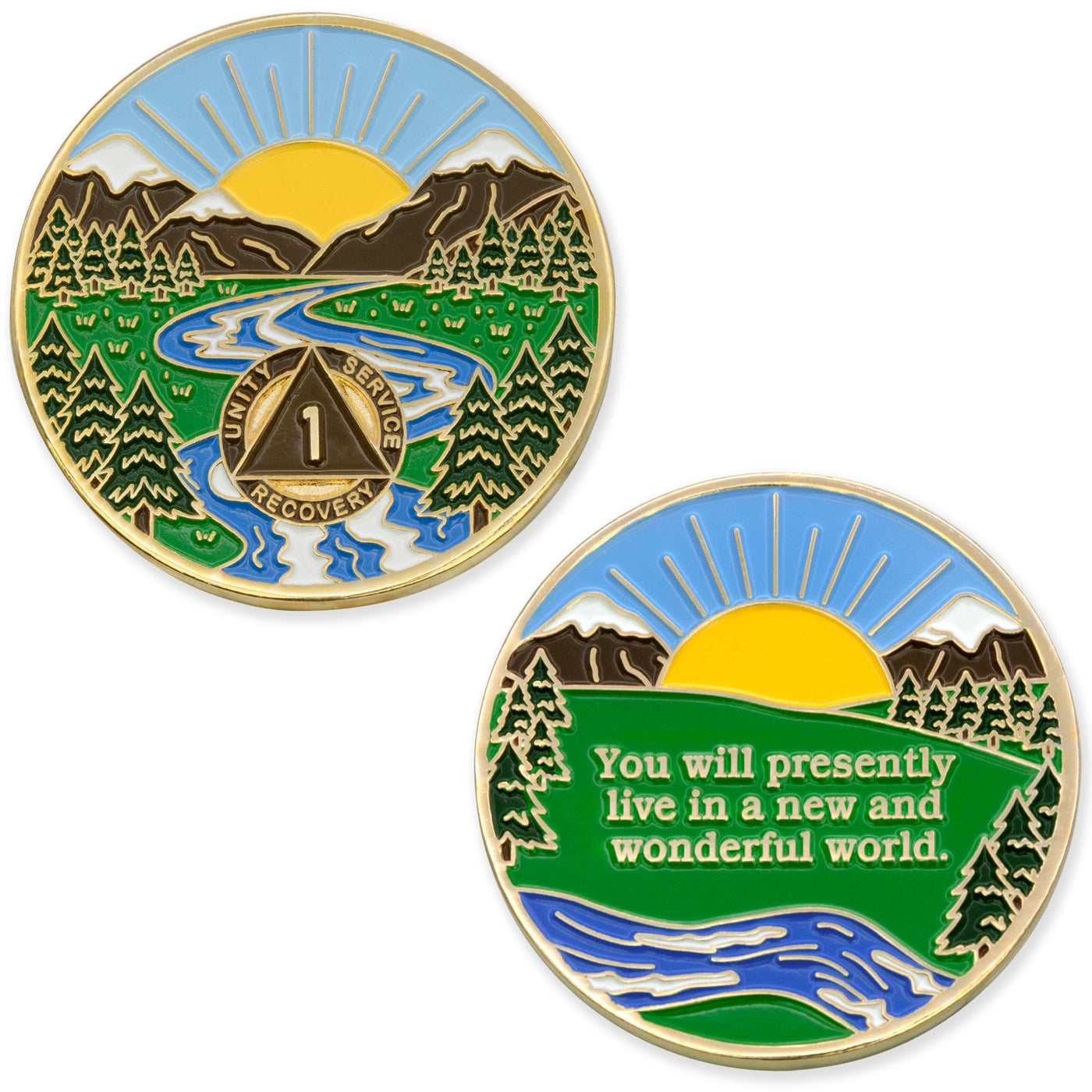 1 to 65 Year Sobriety Mint Winding River Gold Plated AA Recovery Coin ...