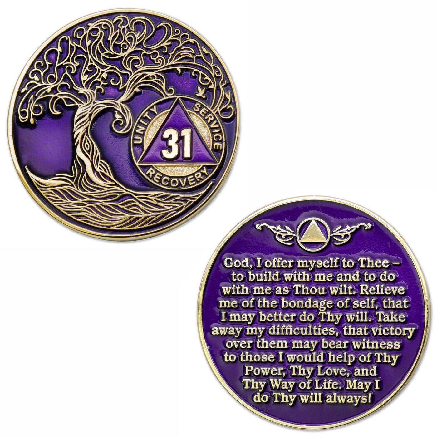 31 Year Twisted Tree of Life Sobriety Mint AA Medallion/Chip/Coin ...