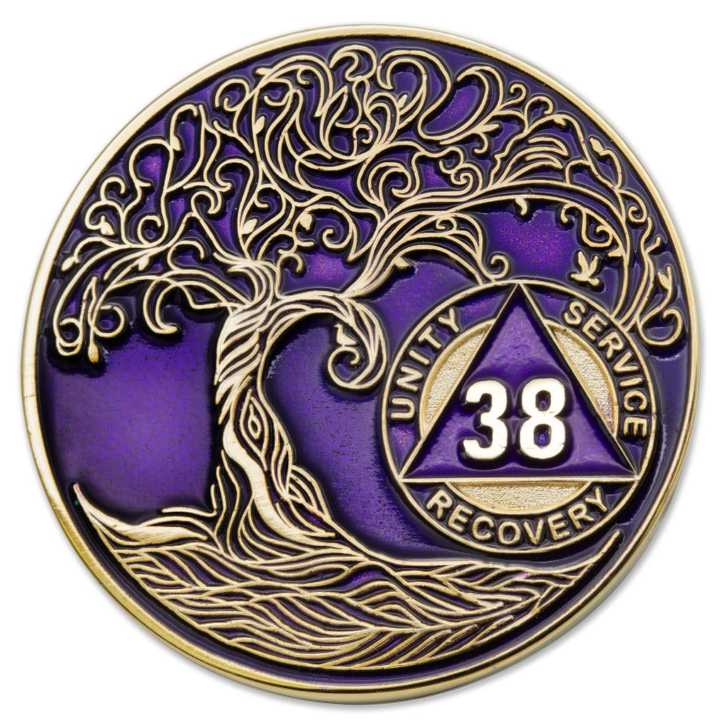 38 Year AA Medallions - Thirty-Eight Year Alcoholics Anonymous Coins ...