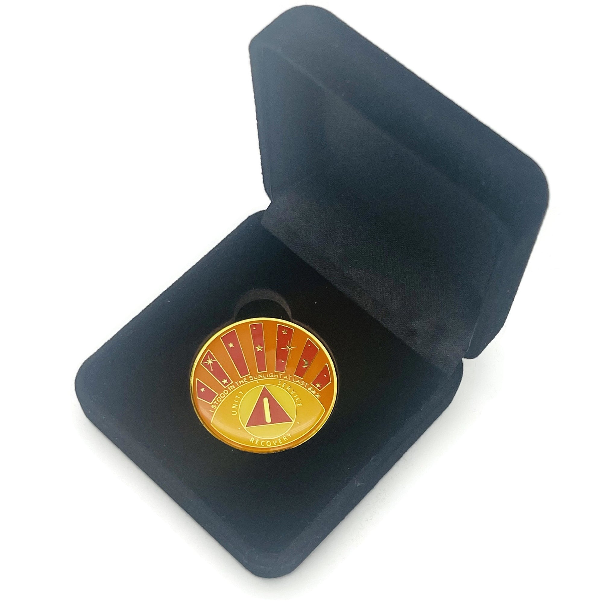 1 Year AA Medallions - One Year Alcoholics Anonymous Coins and Chips ...