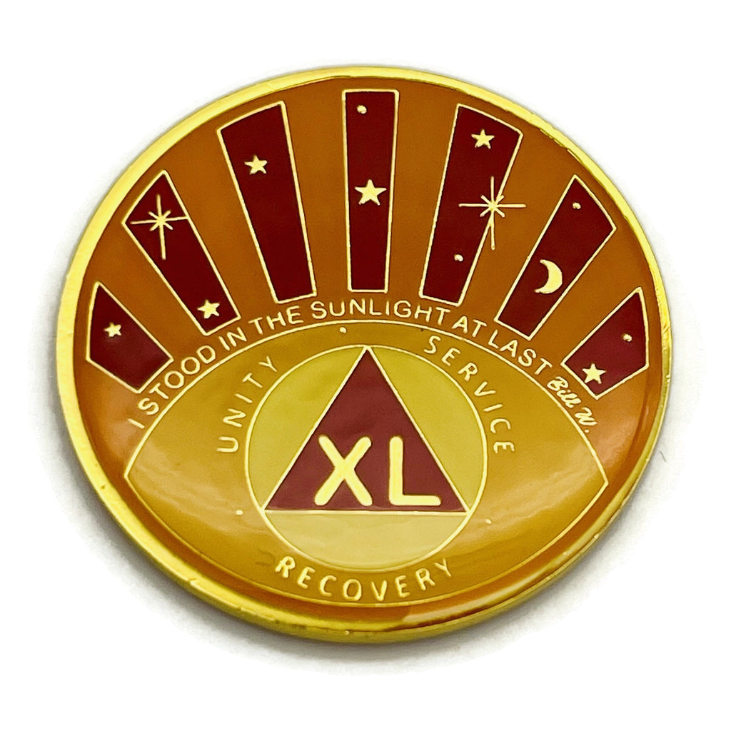 40 Year AA Medallions - Forty Year Alcoholics Anonymous Coins and Chips ...