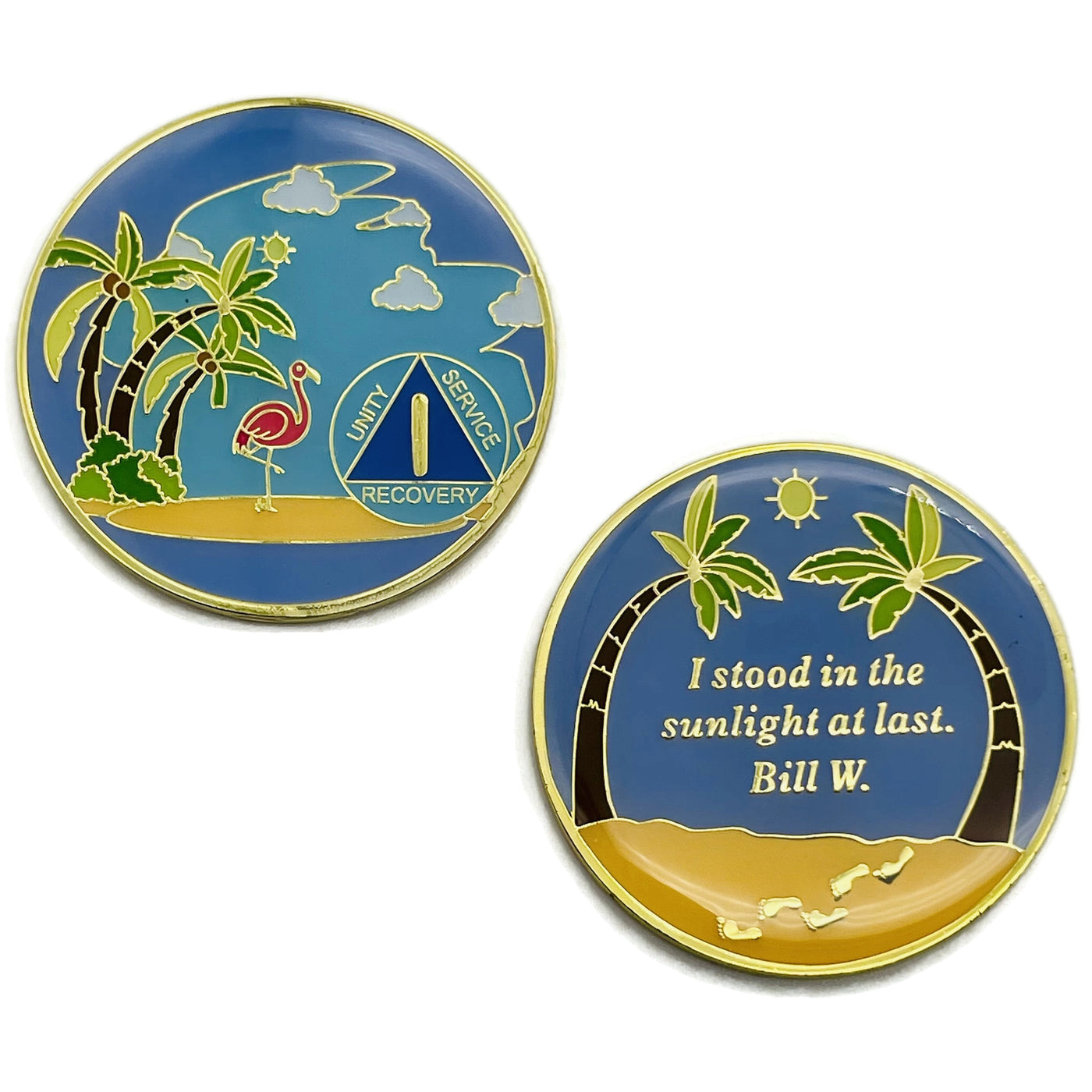 1 to 60 Beach Themed Specialty AA Recovery Medallion/Chip/Coin — AA ...