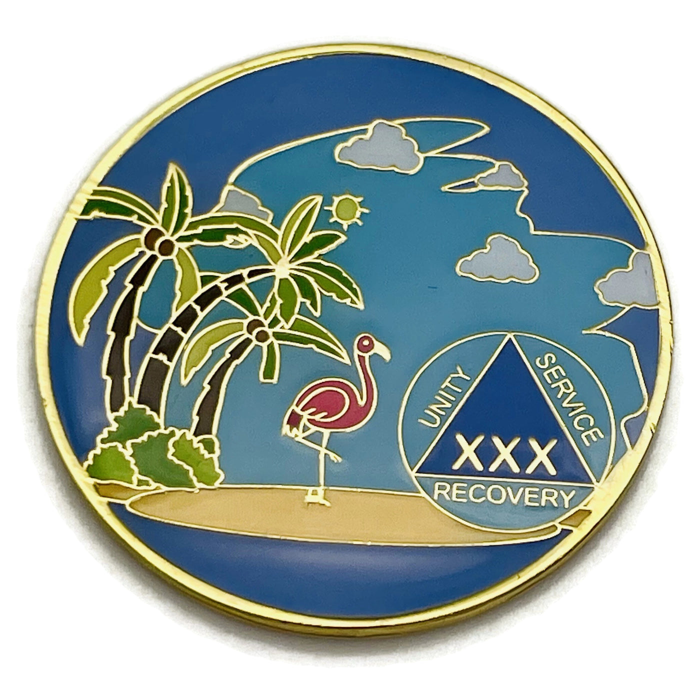 1 to 60 Beach Themed Specialty AA Recovery Medallion/Chip/Coin — AA ...