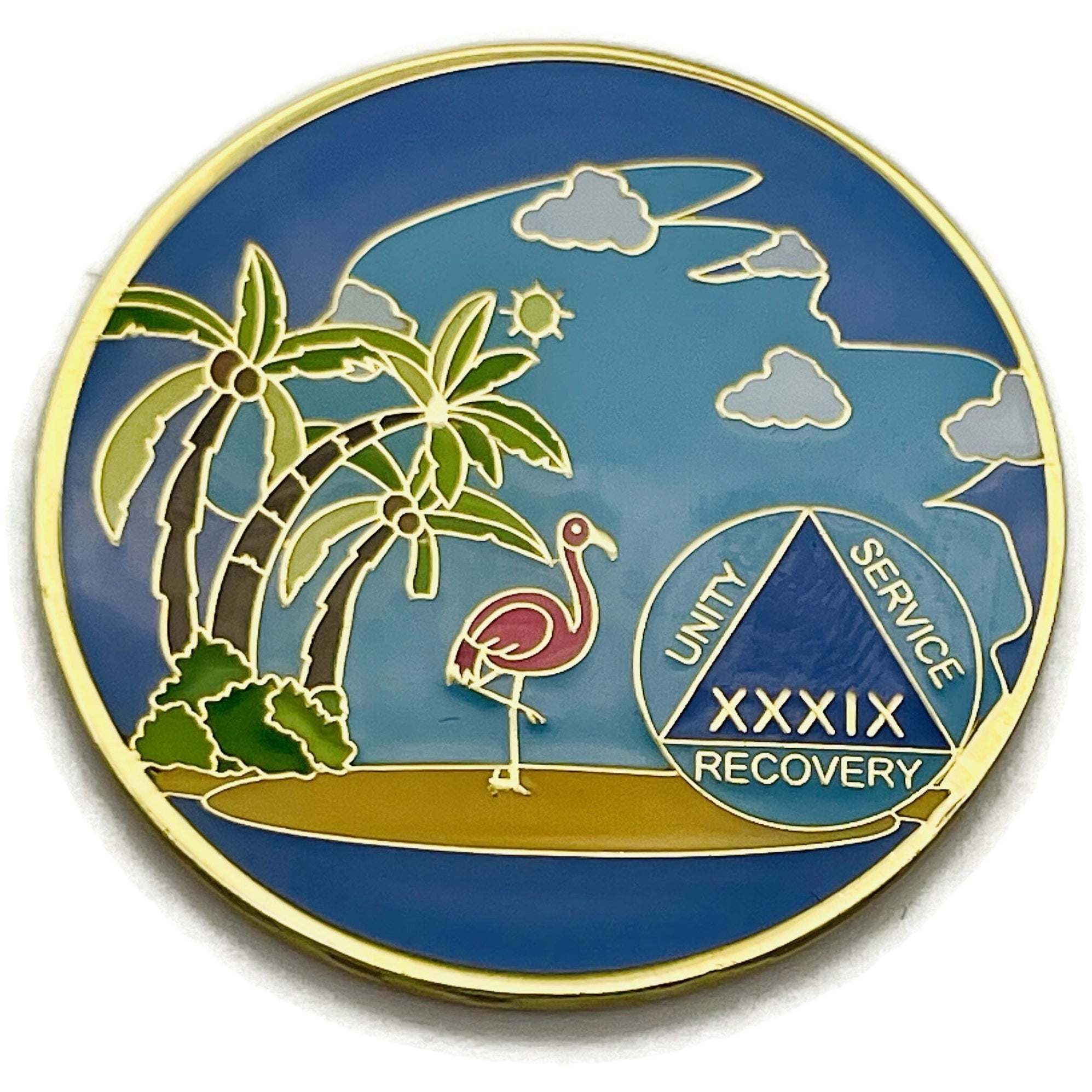 1 to 60 Beach Themed Specialty AA Recovery Medallion/Chip/Coin — AA ...