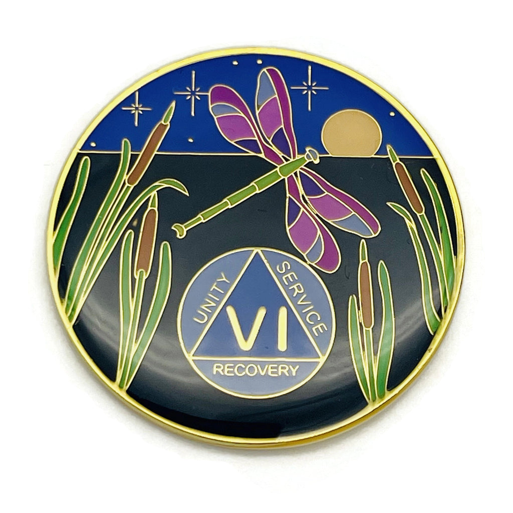 6 Year AA Medallions - Six Year Alcoholics Anonymous Coins and Chips ...