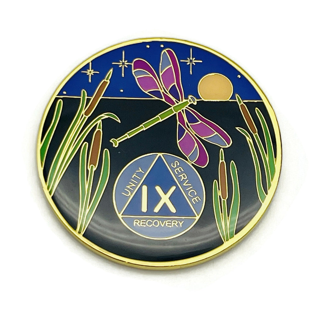 9 Year AA Medallions - Nine Year Alcoholics Anonymous Coins and Chips ...