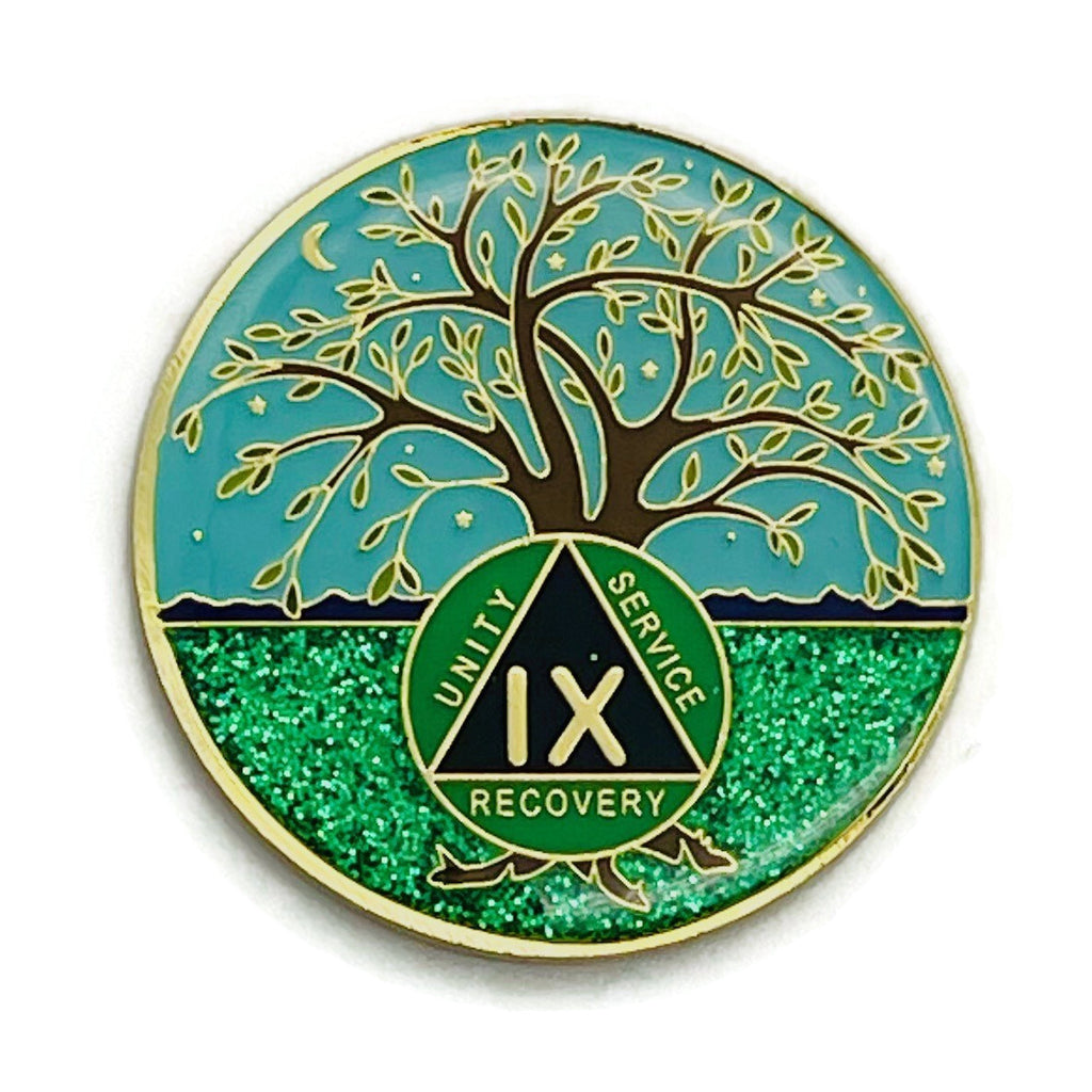 9 Year AA Medallions - Nine Year Alcoholics Anonymous Coins and Chips ...