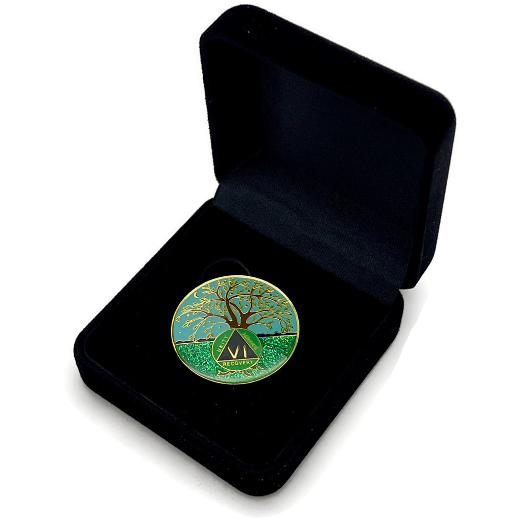 6 Year AA Medallions - Six Year Alcoholics Anonymous Coins and Chips ...