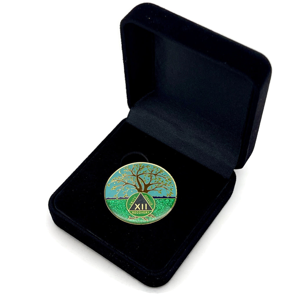 12 Year AA Medallions - Twelve Year Alcoholics Anonymous Coins and ...