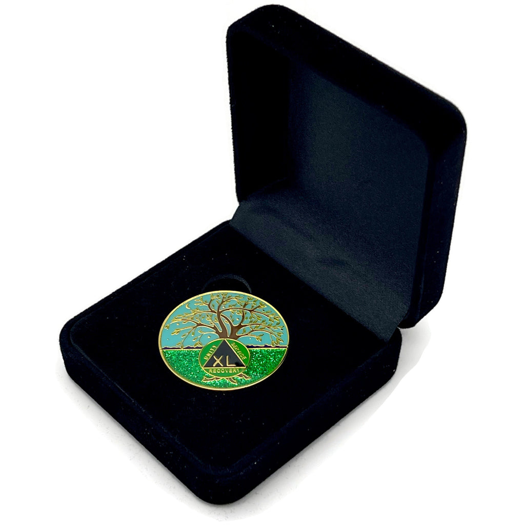 40 Year AA Medallions - Forty Year Alcoholics Anonymous Coins and Chips ...