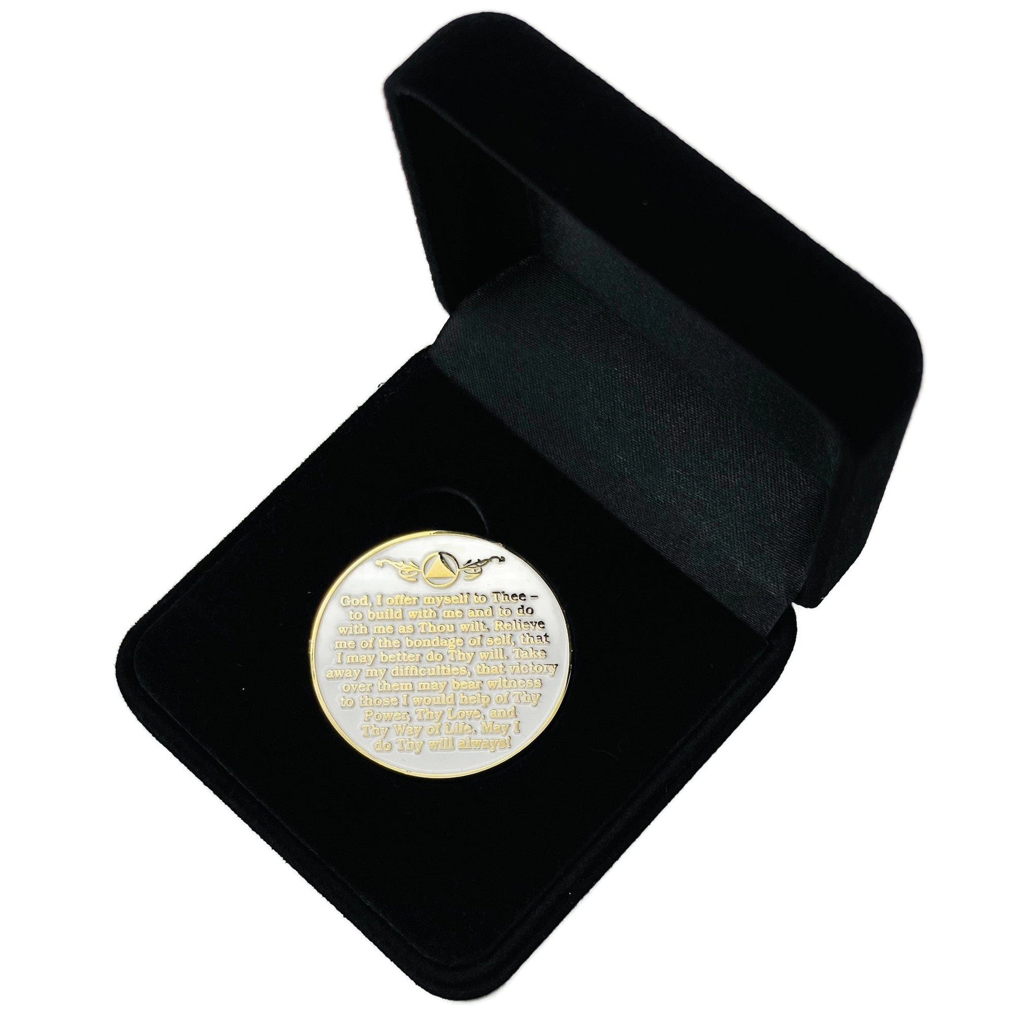 10 Year Twisted Tree of Life Sobriety Mint AA Medallion - White + Case ...