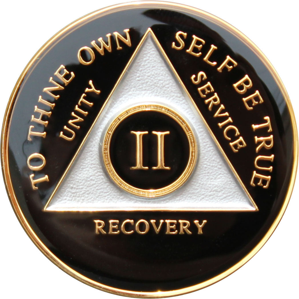 Recovery Mint 2 Year AA Medallion - Two Year Chip/Coin/Token - Black ...